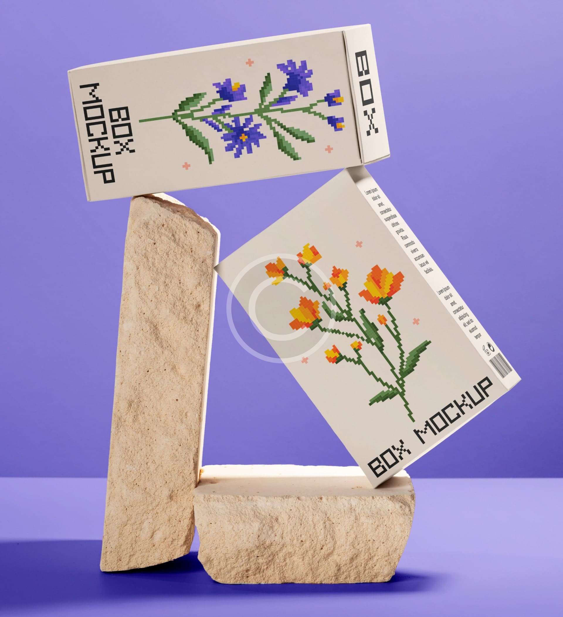 Visual editor – NEON NET