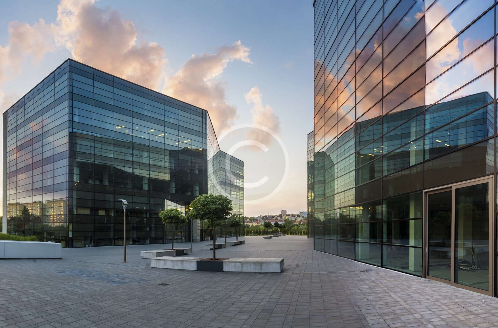 Commercial – NEON NET